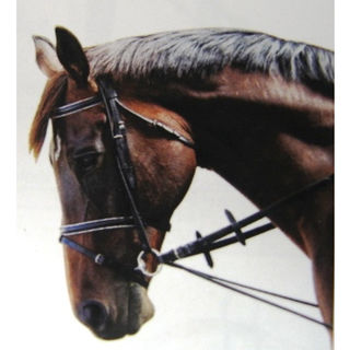 Clareville Saddlery - Clareville Saddlery