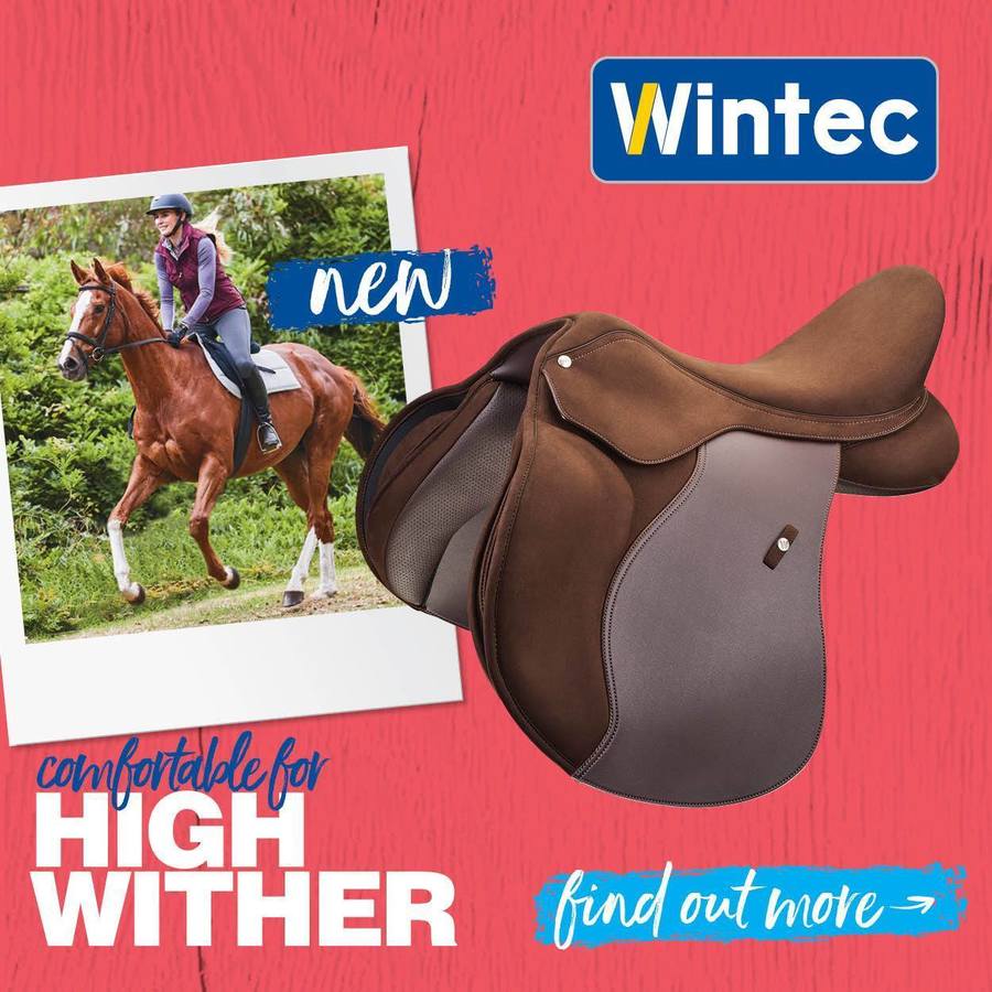 Wintec 2000 High Wither All Purpose Saddle - Clareville Saddlery